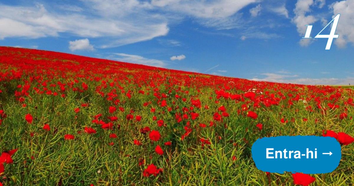 Inici de càntic en el temple